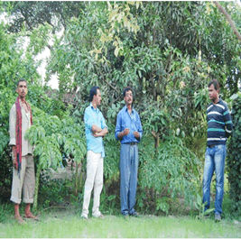 Socio-Economic Importance of Baraila Wetland | Open Access Journals