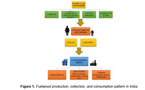 STATUS OF FUELWOOD COLLECTION AND UTILIZATION PATTERN IN INDIA | Open ...